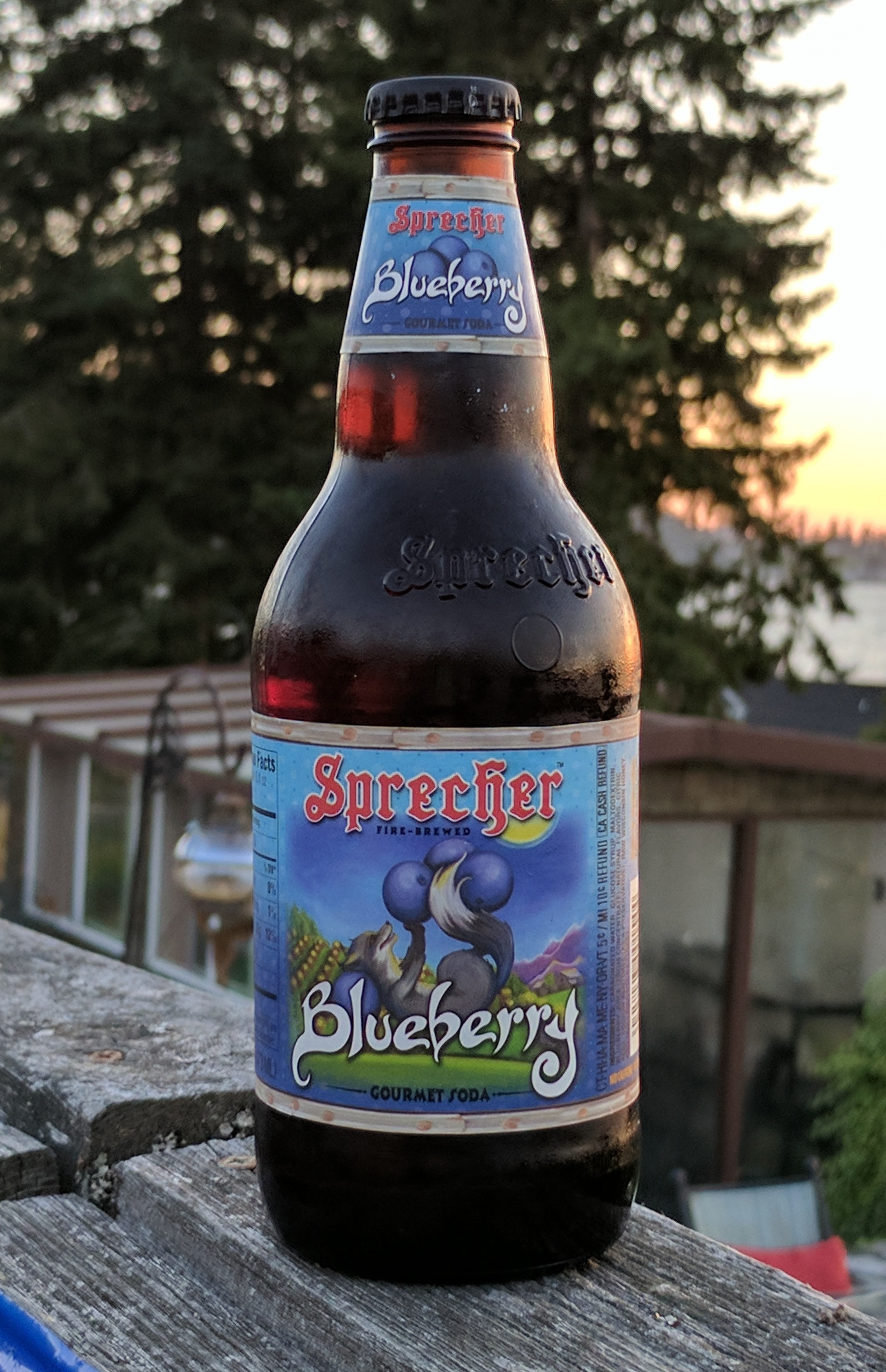 Sprecher Blueberry Soda – Reviewed – Sodafry
