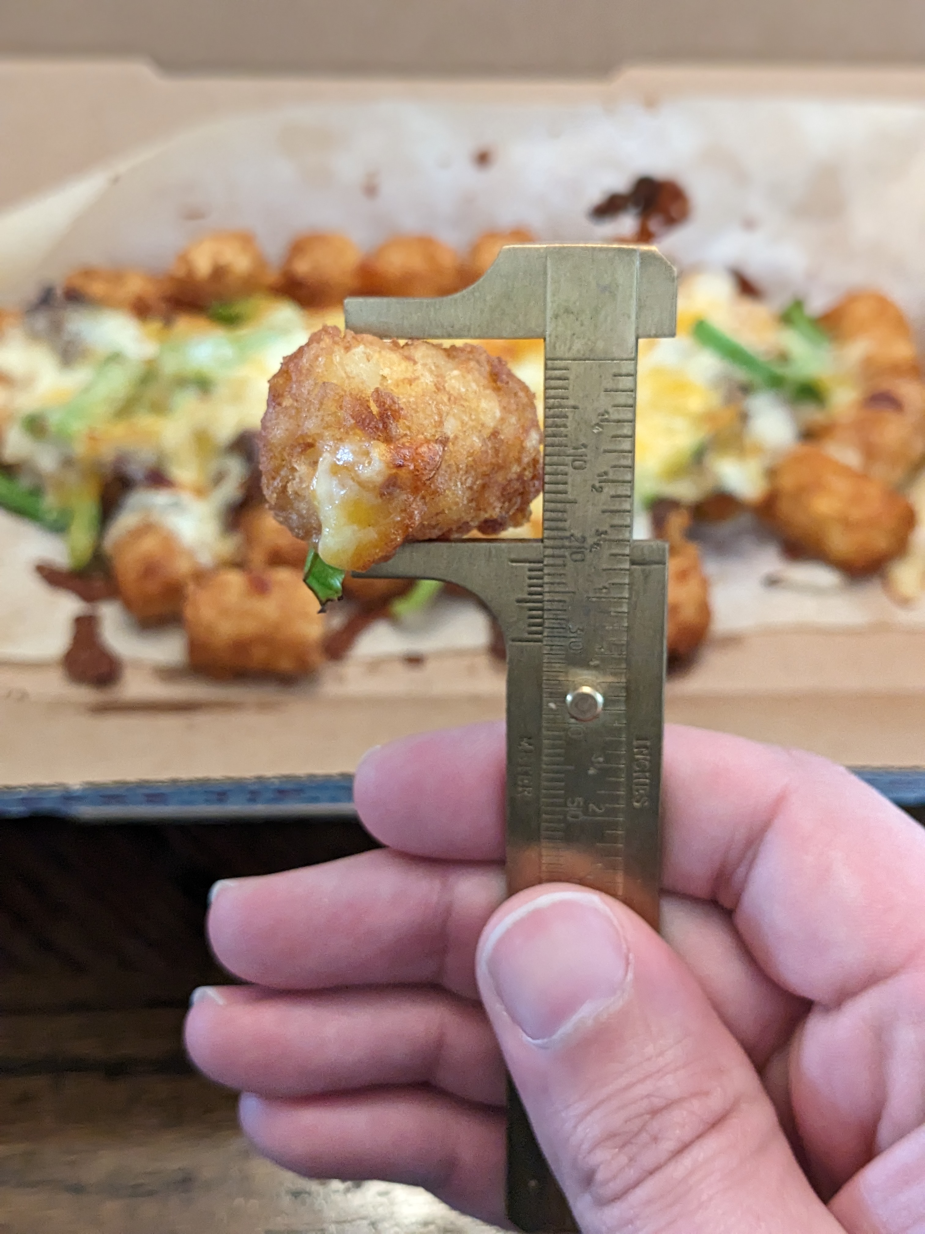 Domino’s – Loaded Tots Reviewed – Sodafry